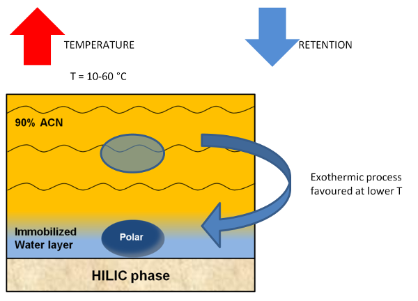 Column temperature in HILIC