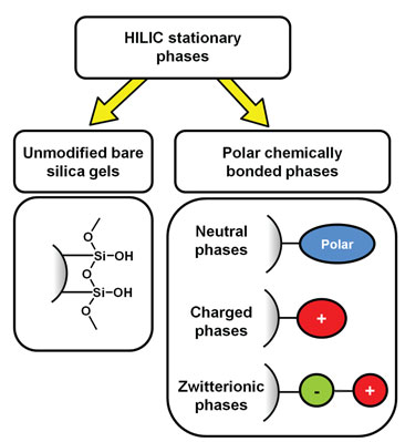 HILIC Stationary Phases